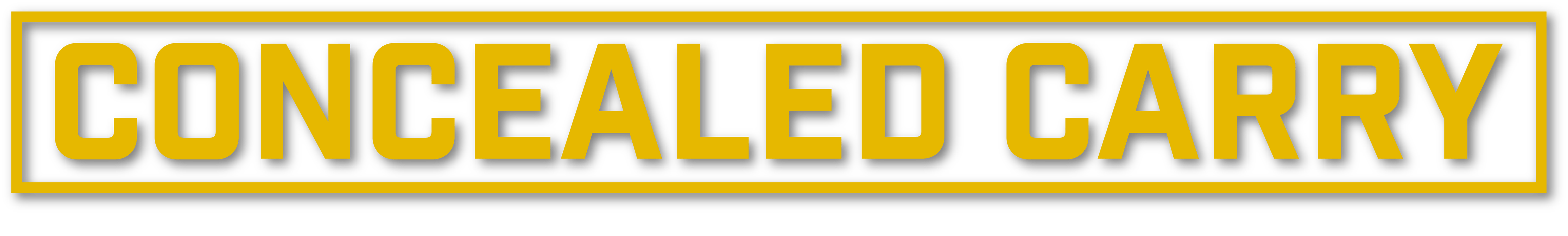 Concealed Carry 1911 | Rock Island Armory | Armscor International, Inc